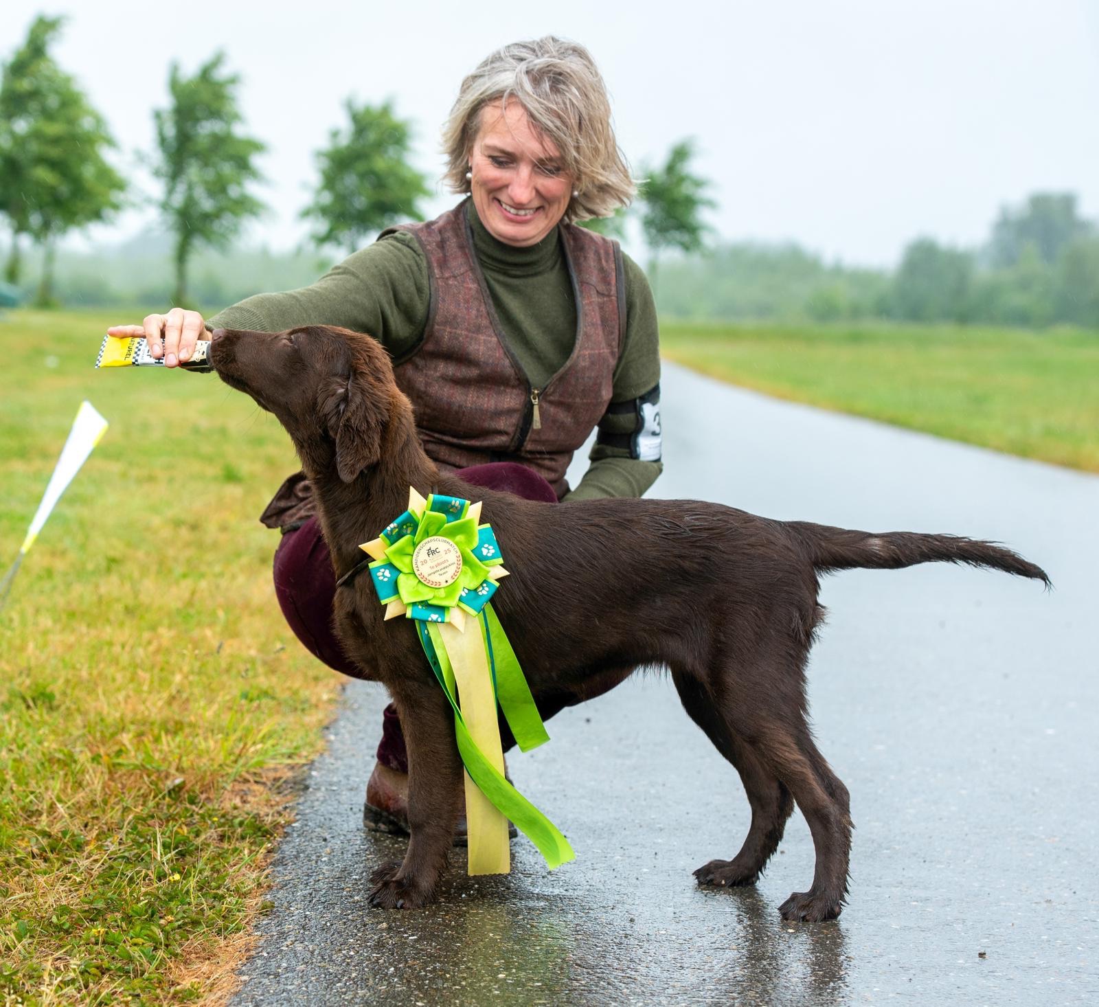 Dutch breed club show of the year – Daisy best minor female puppy ...
